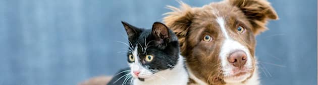 Survey reveals that children have strong desire and need to learn more ...