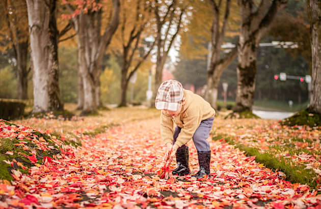 30 Autumn Activities for Childminders - Twinkl
