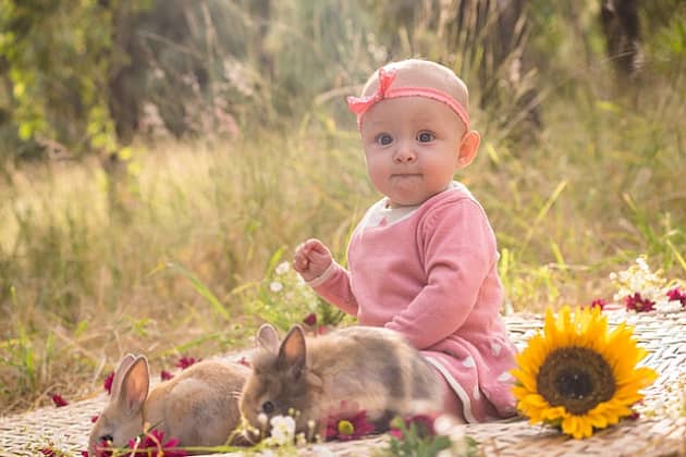 World Animal Day: ‘We are the animals' voices’
