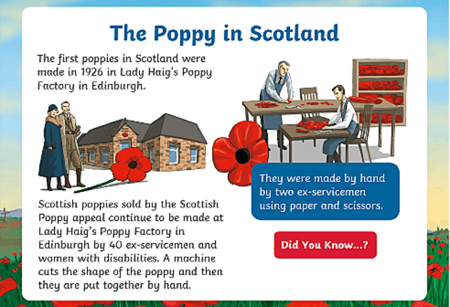 Twinkl Scotland & Poppyscotland Team Up for Remembrance 2021! Read on ...