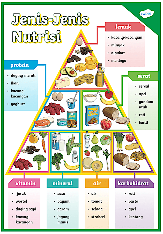 Panduan Lengkap Resep Sehat dan Pola Makan Nabati (Plant-Based) untuk Anak