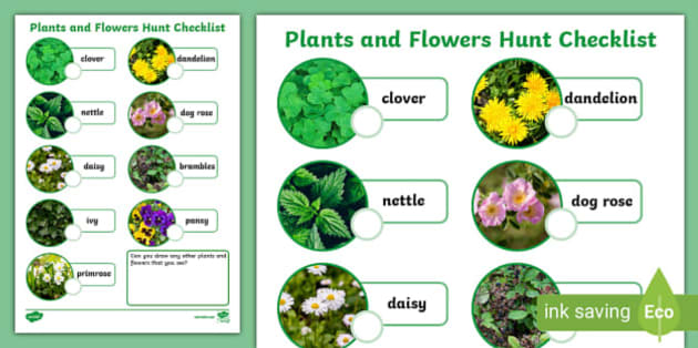 Summer Camp Activities for Preschoolers - Twinkl