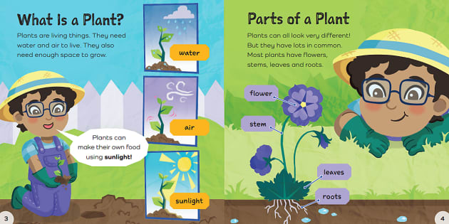 Non-Fiction November - Information eBooks from Twinkl Originals