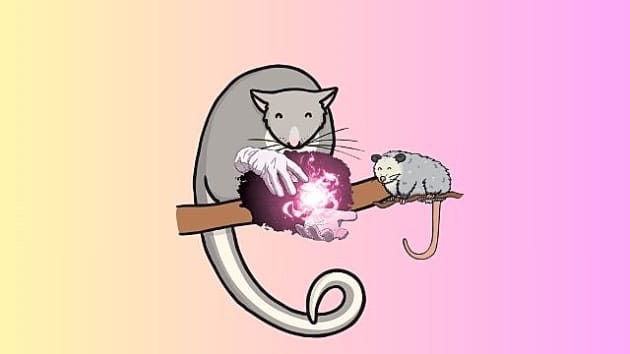 10 Australian Children's Books | Twinkl Blog - Twinkl