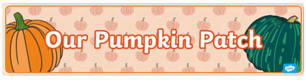 Pumpkin Activities For Preschool - Twinkl