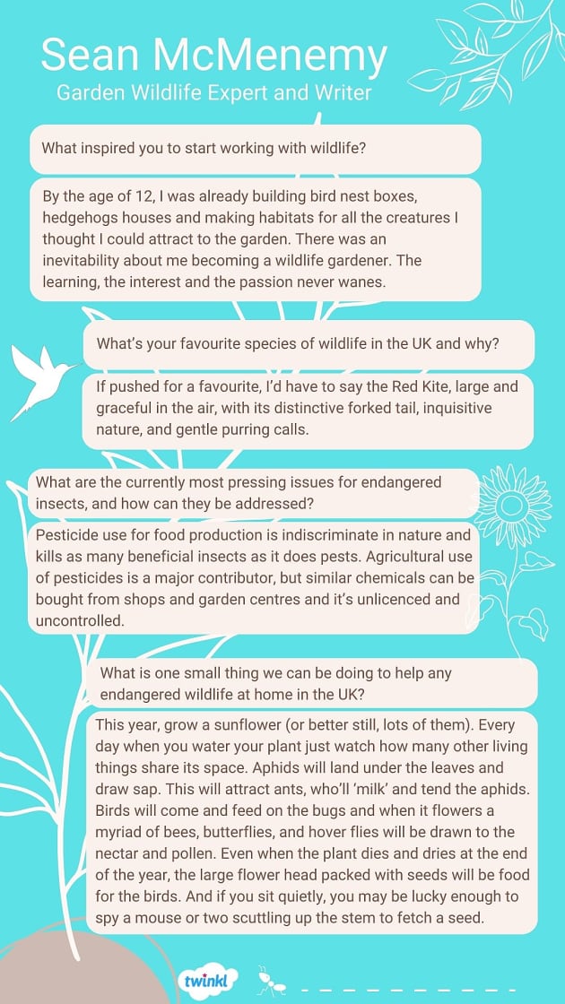 Twinkl Asks Conservationists | How Can We Help Nature And Animals?