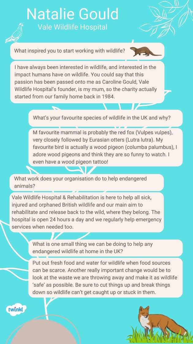 Twinkl Asks Conservationists | How Can We Help Nature And Animals?