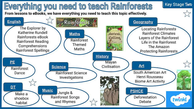 Teaching the Rainforests to Children - Twinkl Blog - Twinkl