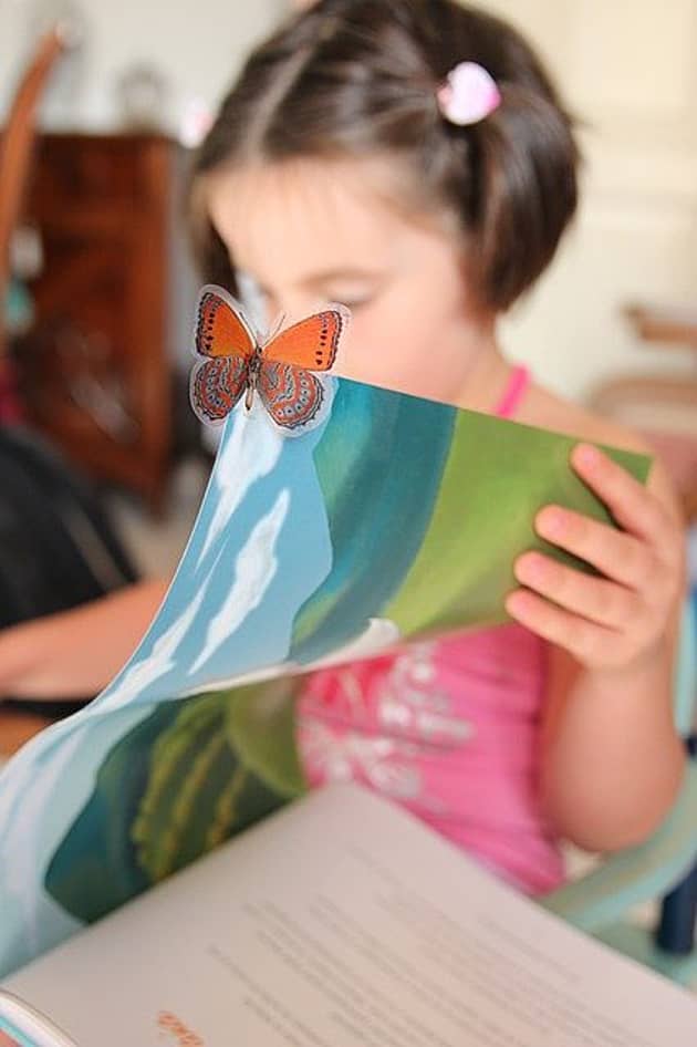 The power of wordless picture books - Twinkl Digest