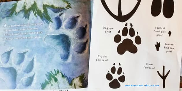 12 STEAM Activities for Kids to Fulfill Their Time During School Holiday