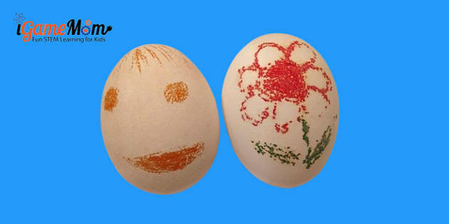 12 STEAM Activities for Kids to Fulfill Their Time During School Holiday