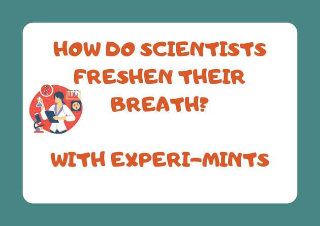 Teaching science activities for KS1: your science-y starter kit.