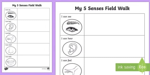 Outdoor Classroom Day in NZ - Twinkl