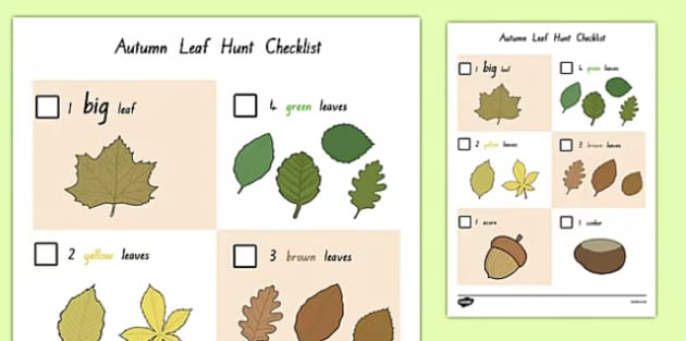 Autumn in New Zealand - Twinkl