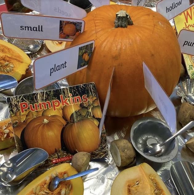 Pumpkin Ideas and Activities for Early Years | EYFS | Blog
