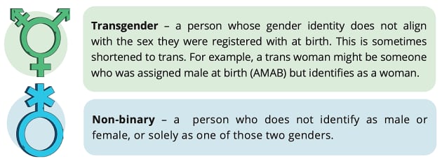 LGBTQ Definitions Handout | Beyond RSE (teacher made)