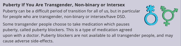 Puberty Fact Sheet | KS3/KS4 RSE | Beyond