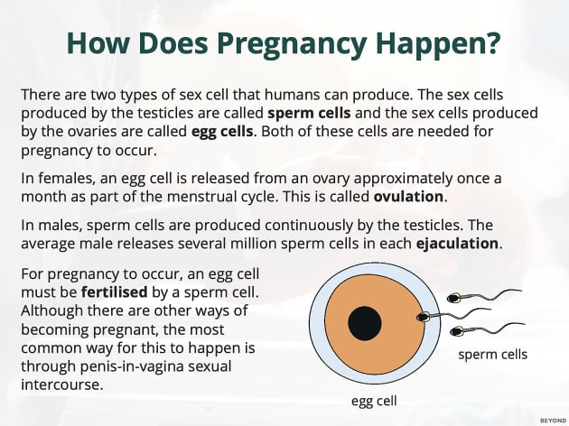 Lesson Pack: Pregnancy and Birth | Beyond RSE