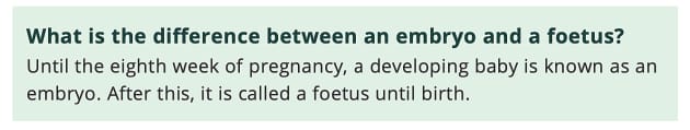 Pregnancy and Birth Fact Sheets
