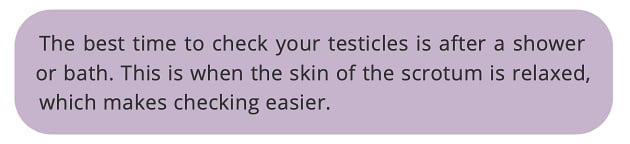 Testicular Self-Examination Poster - Check for Testicular Cancer