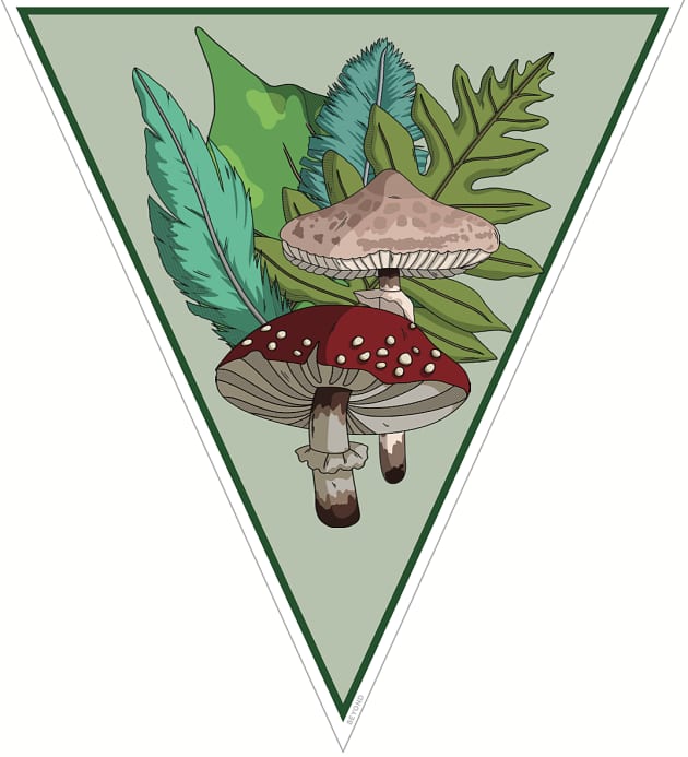 Botanical Themed Welcome to Our Classroom Display Bunting