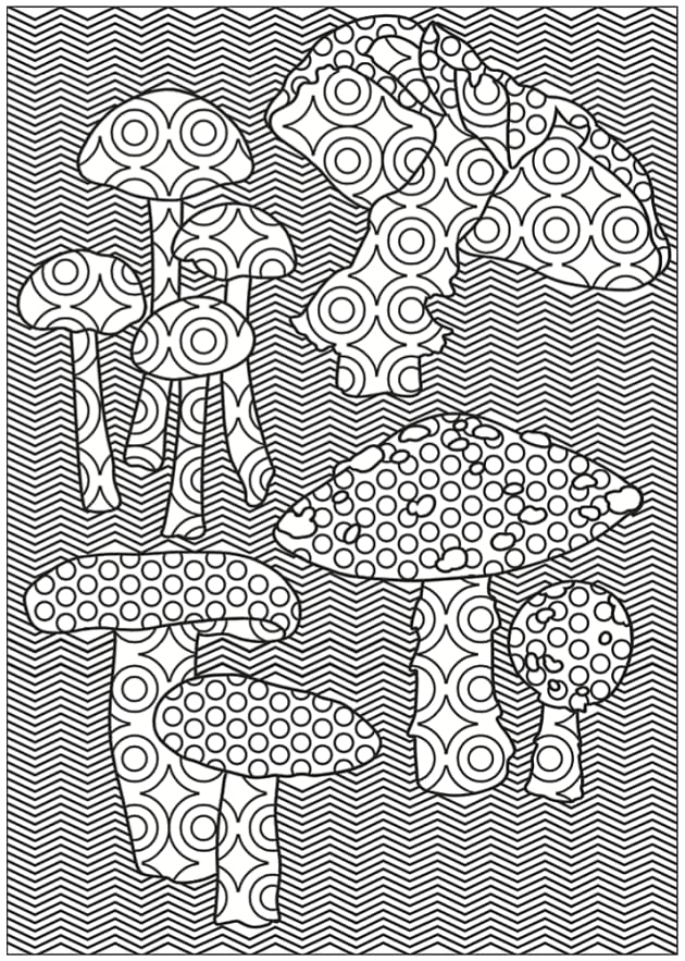 Botanical Colouring Book: Mindfulness | Teacher Toolbox