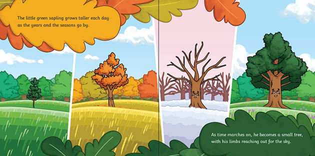 Life Cycles Children’s Books from Twinkl Originals