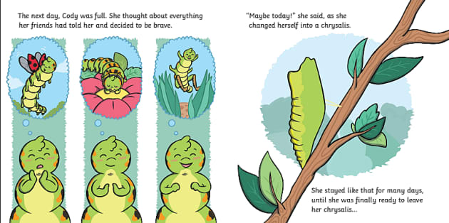 Life Cycles Children’s Books from Twinkl Originals