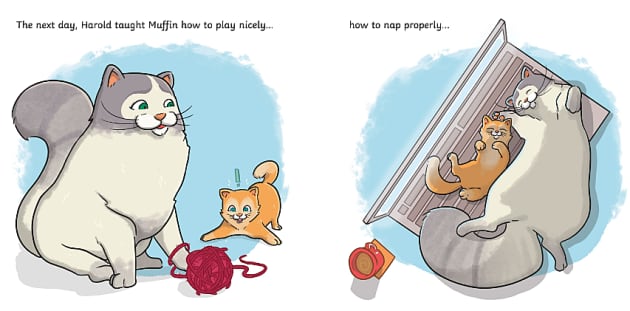 5 Children’s Books about cats from Twinkl Originals