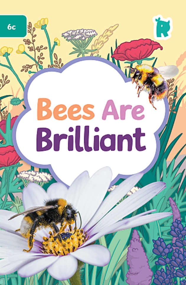 5 Brilliant Books for World Bee Day - Twinkl