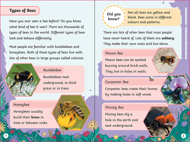 5 Brilliant Books for World Bee Day - Twinkl