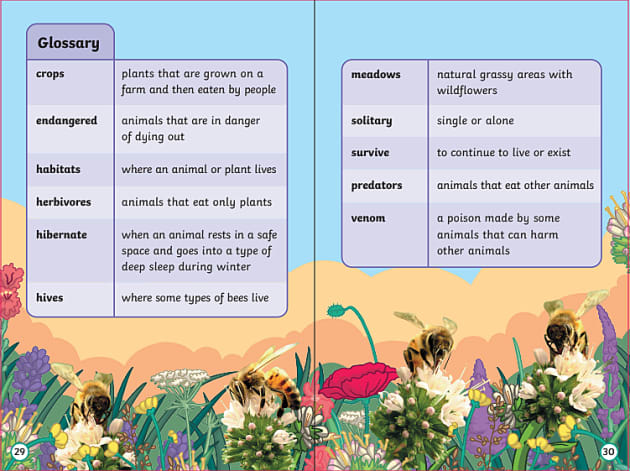 5 Brilliant Books for World Bee Day - Twinkl