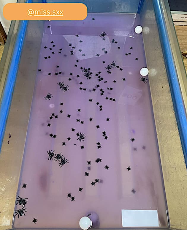 Early Years Spooky, Autumnal Activities for Ages 0-5