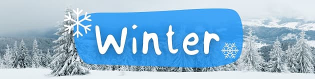 The Four Seasons in Canada | Canada Summer Months - Twinkl