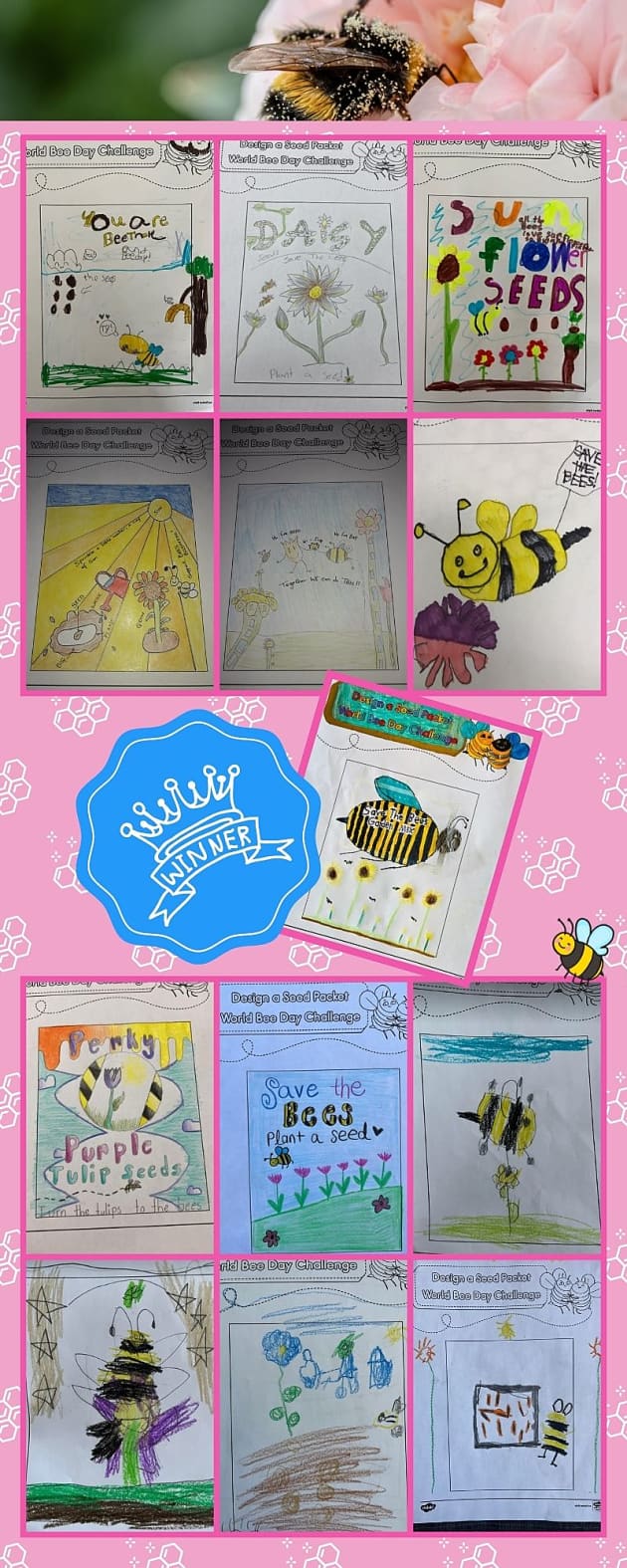 Twinkl Canada World Bee Day Design Challenge - Twinkl