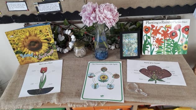 Exploring Nature's Marvellous Life Cycles - Twinkl