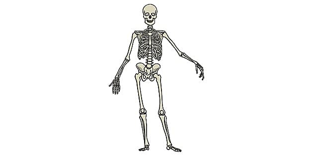 10 Haunting Halloween Riddles for Kids - Twinkl