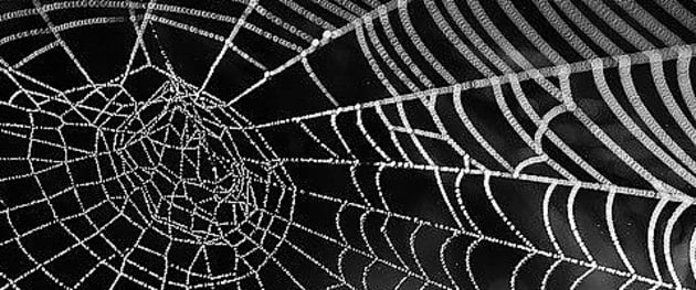 25 Terrific Team Building Activities for Kids | Twinkl USA