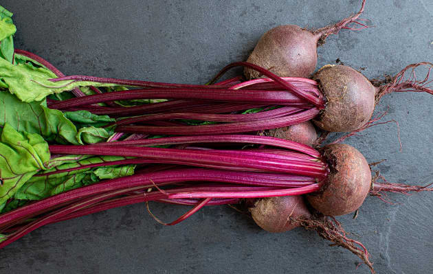 Our Top 5 Garden Plants to Grow in Spring, Spring Flower, Vegetables for