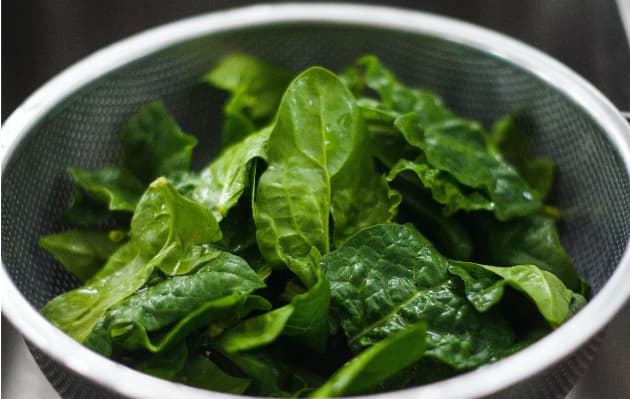 Our Top 5 Garden Plants to Grow in Spring, Spring Flower, Vegetables for