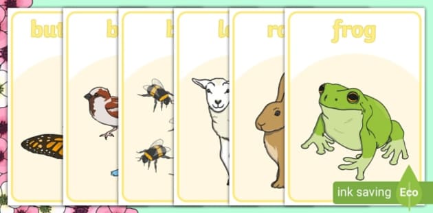 Awesome Homeschool Field Trip Ideas - Twinkl