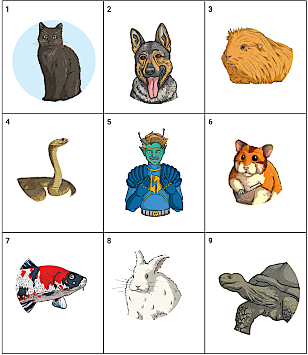 Fun Vocabulary Games for French and Spanish - Twinkl