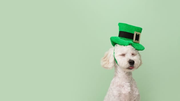 Free St Patrick's Day Wallpaper - Twinkl