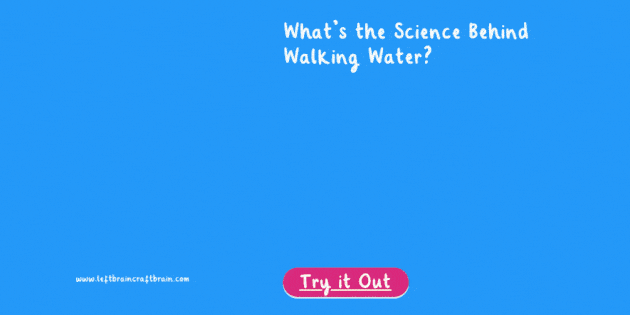 12 STEAM Activities for Kids to Fulfill Their Time During School Holiday