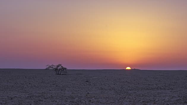 Bahrain Facts for Kids | World Geography Guide - Twinkl Homework Help