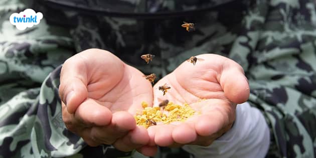 Fun-tastic Family Outing at The Sundowner Singapore Nature Experience ...