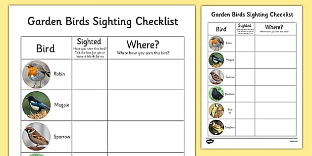 How to Make your Garden Bird Friendly