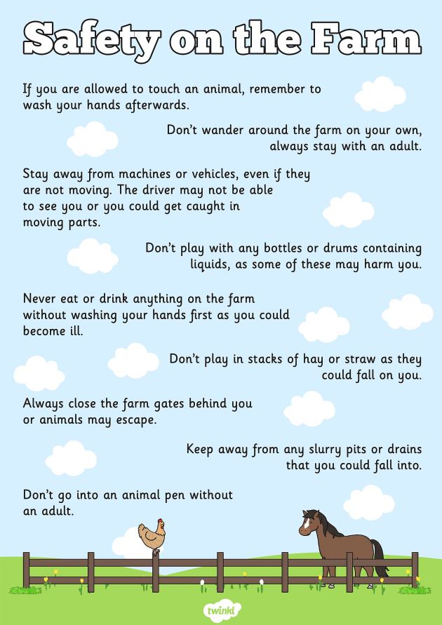 Why should I take my child to a farm to see lambing? Spring is a great ...