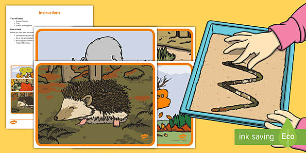 Autumn Activities For Toddlers | EYFS | Twinkl | Blog