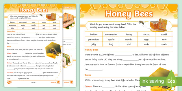 World Bee Day Activities for Kids - Twinkl